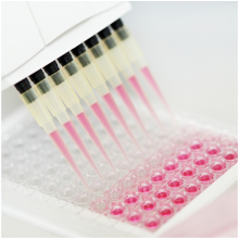 Human IL-6 sR ELISA Kit in Cytokines & Growth Factors - Shop By ...